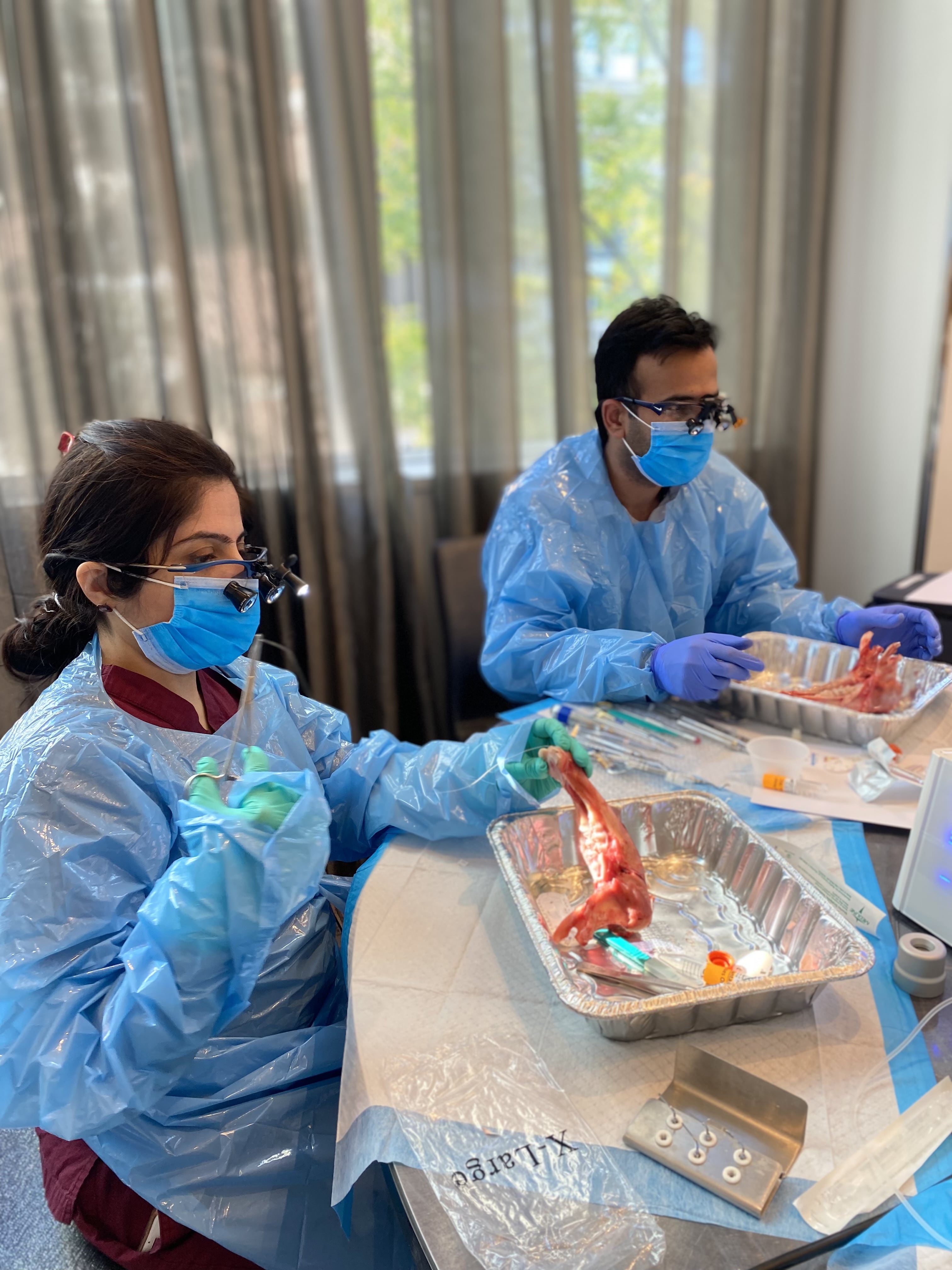 AAID Boston MaxiCourse Practical Implant Education